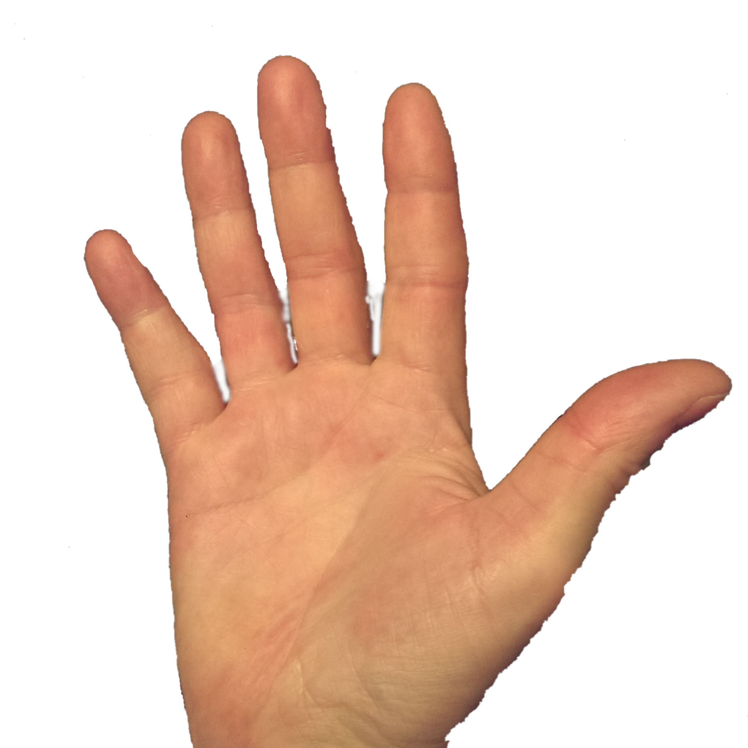 Hånd — Ned i Kroppen